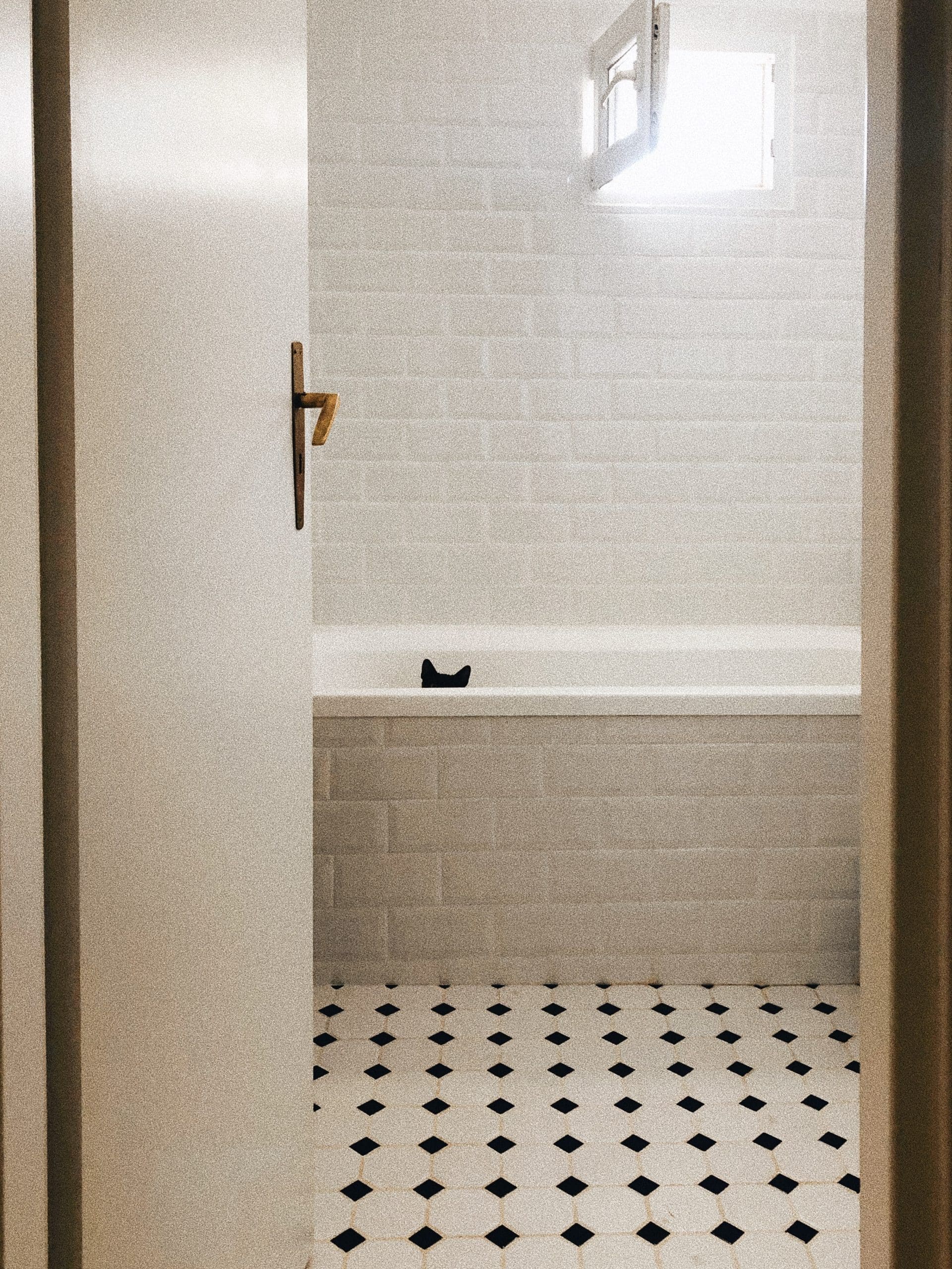 How to Cat Proof Your House: Tips for a Safe Home