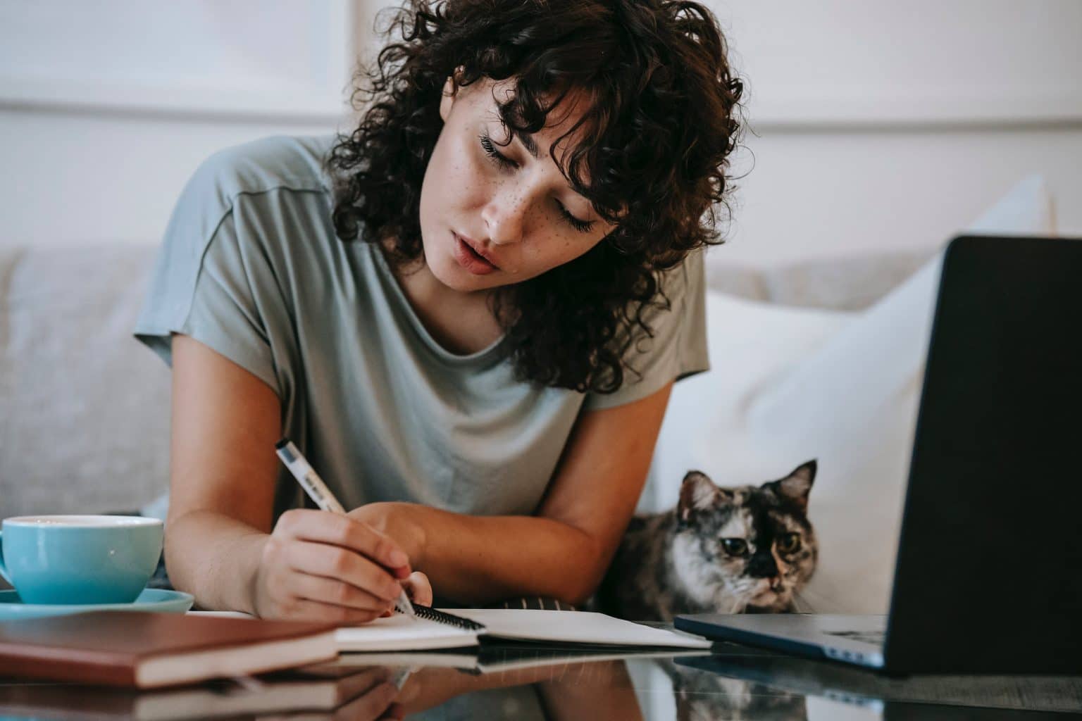 600 Creative Cat Sitting Business Name Ideas For 2024
