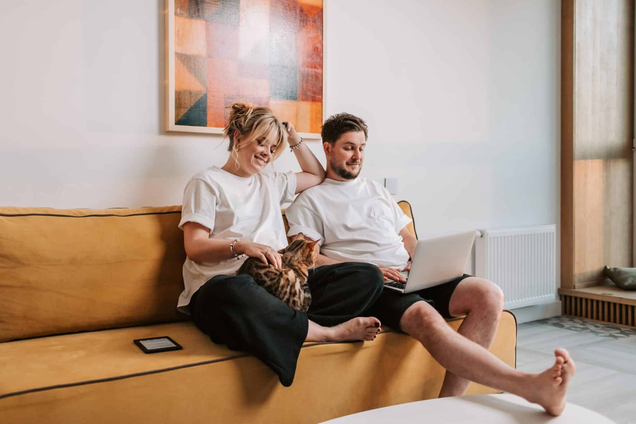 600 Creative Cat Sitting Business Name Ideas For 2024