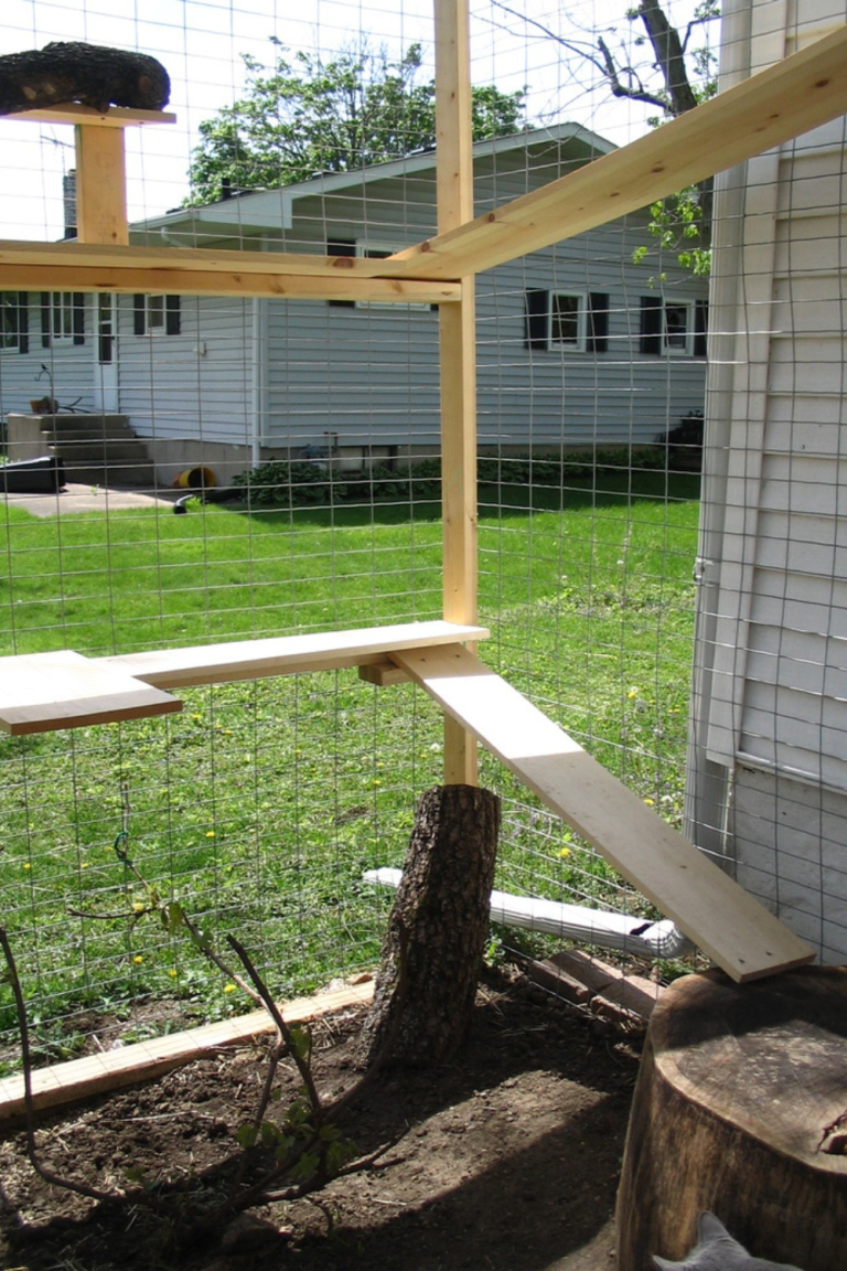 10 Creative DIY Projects For Cats