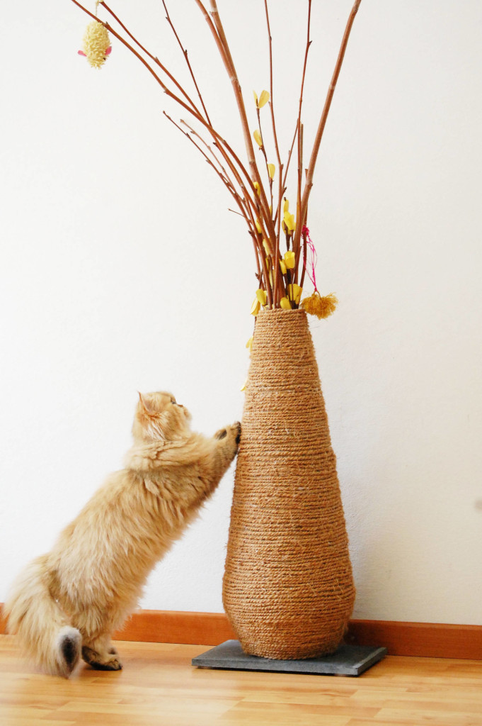 10 Creative DIY Projects For Cats