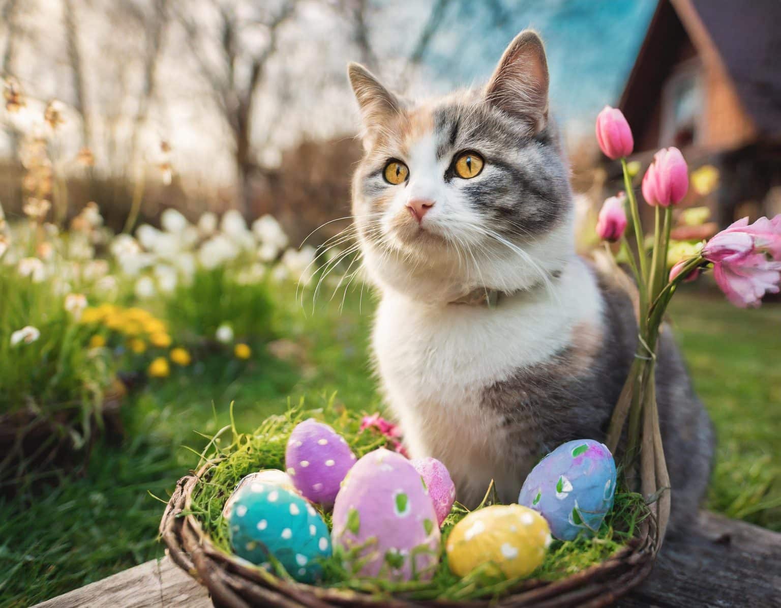 163 Cute Easter Cat Names in 2024